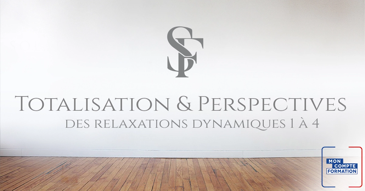 Totalisation & Perspectives des relaxations dynamiques 1 à 4